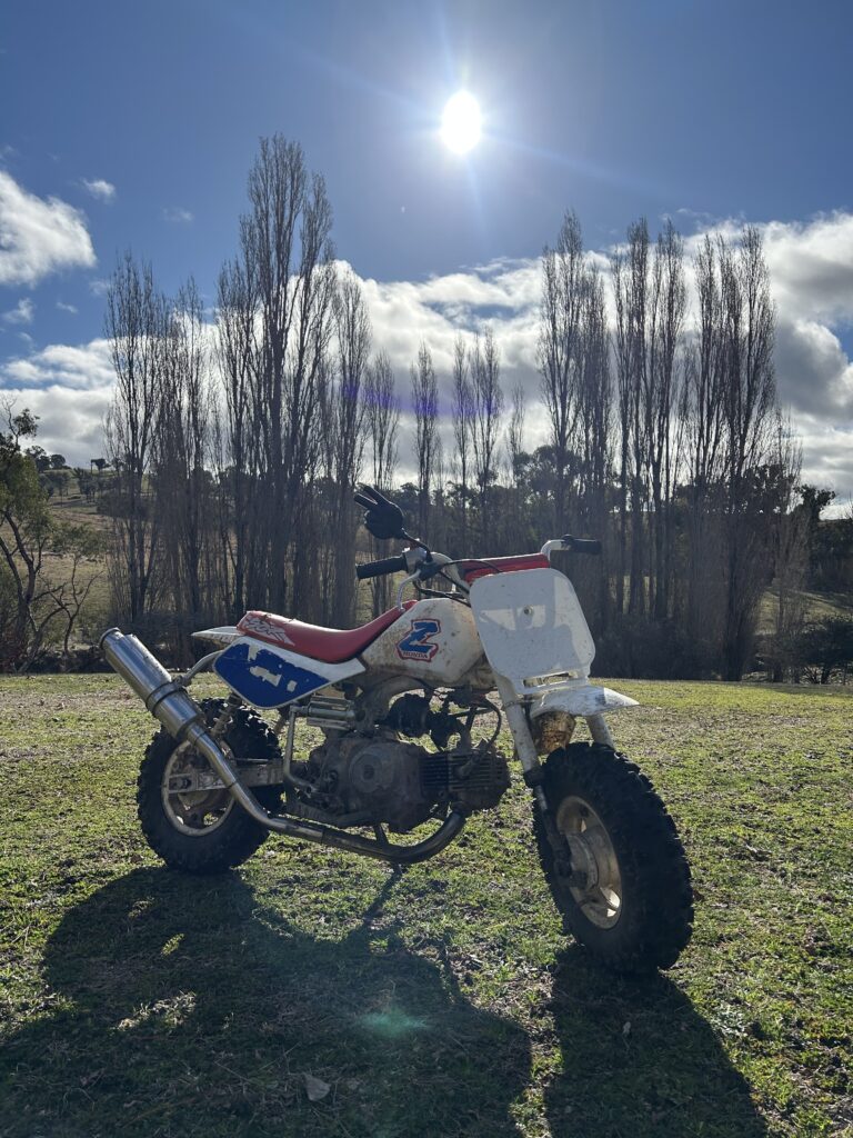 Honda Z50r - White - P.V.A